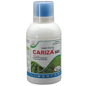 CARIZA 5EC