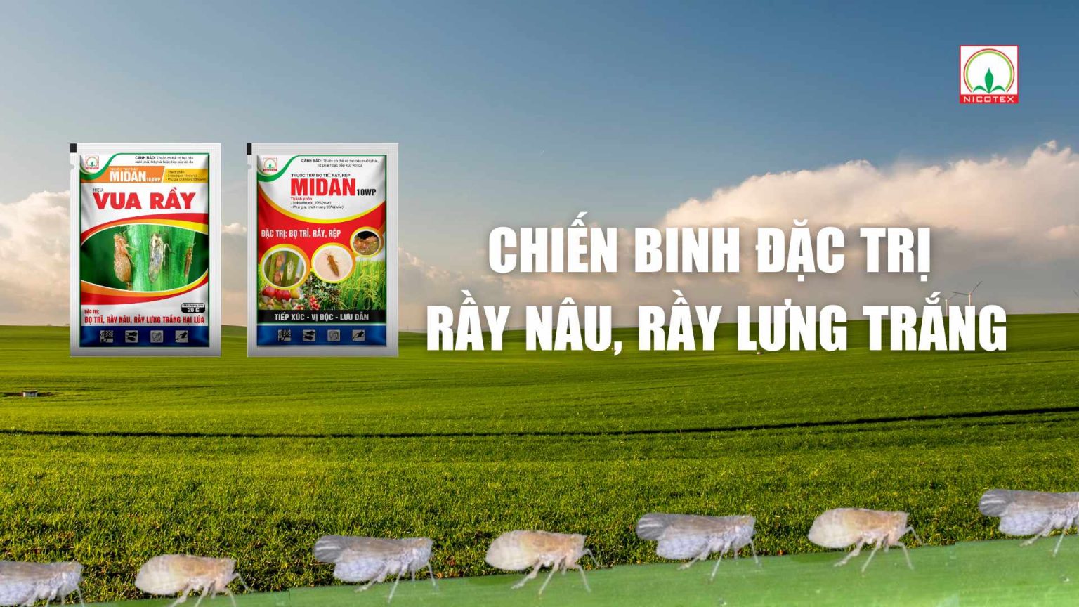 Chuyện của cây lúa và MIDAN 10WP